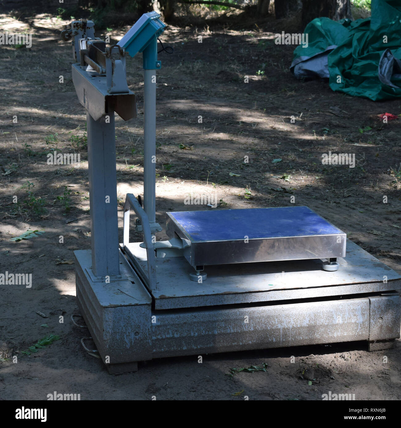 Scales for weighing the bags. The Harvesting Stock Photo - Alamy