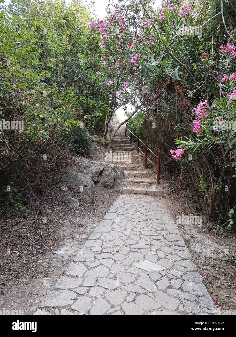 Baths of Aphrodite, Cyprus Stock Photo - Alamy