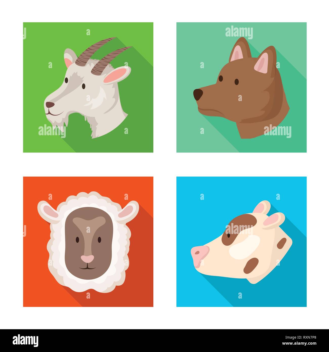 dog,goat,chick,pig,face,poses,animal,bird,hog,care,pasture,funny,bacon ...