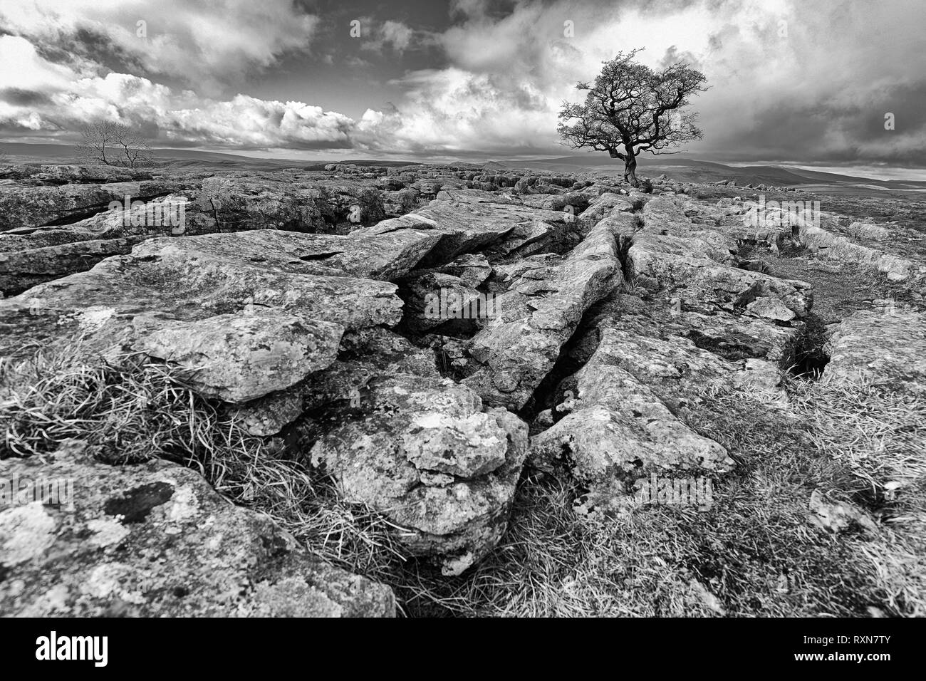 Winskill Black and White Stock Photos & Images - Alamy