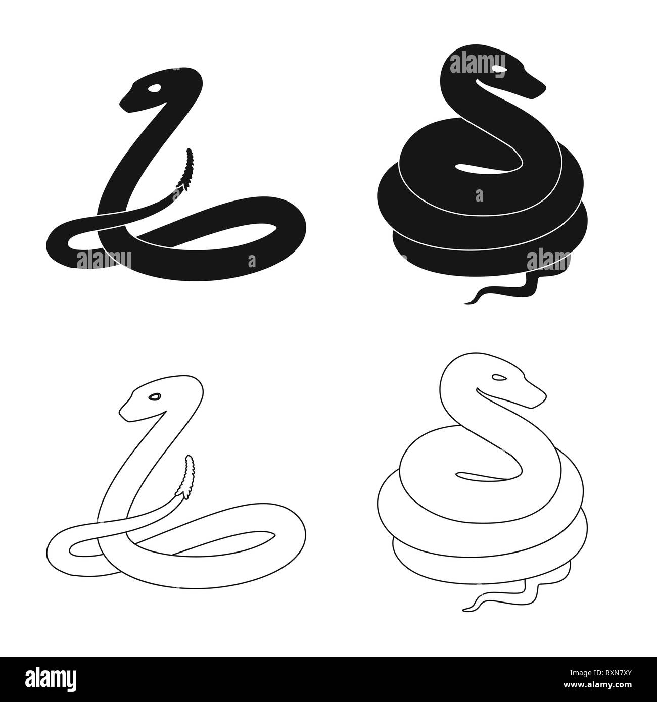 snake,python,animal,green,jungle,forest,anaconda,tail,spiral,mammal ...