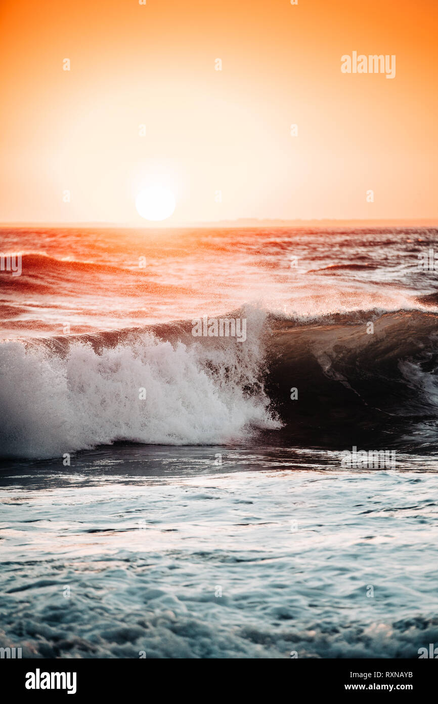 Colorful ocean beach sunset with deep blue sky and sun rays Stock Photo ...