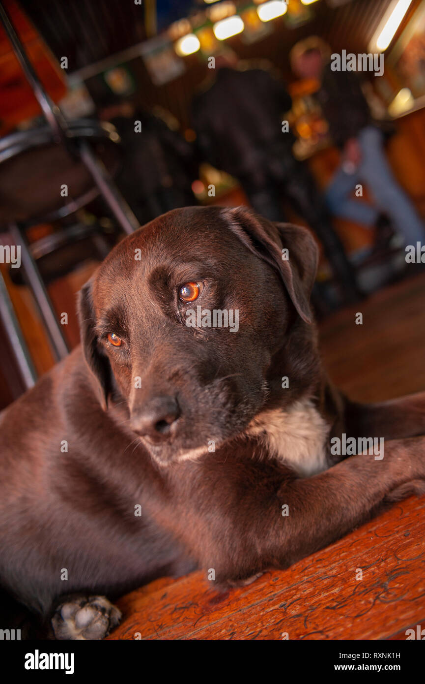 Real life australia hi-res stock photography and images - Alamy