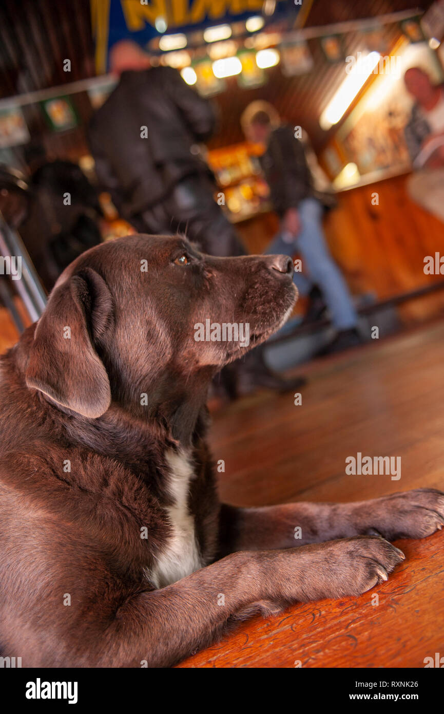 Real life australia hi-res stock photography and images - Alamy