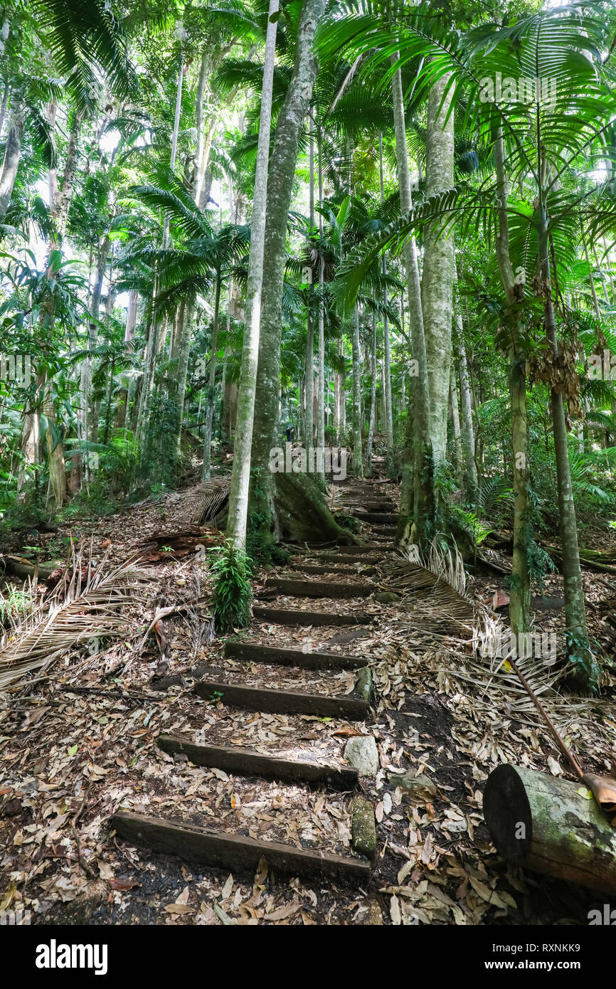 Wollumbin National Park Stock Photo - Alamy
