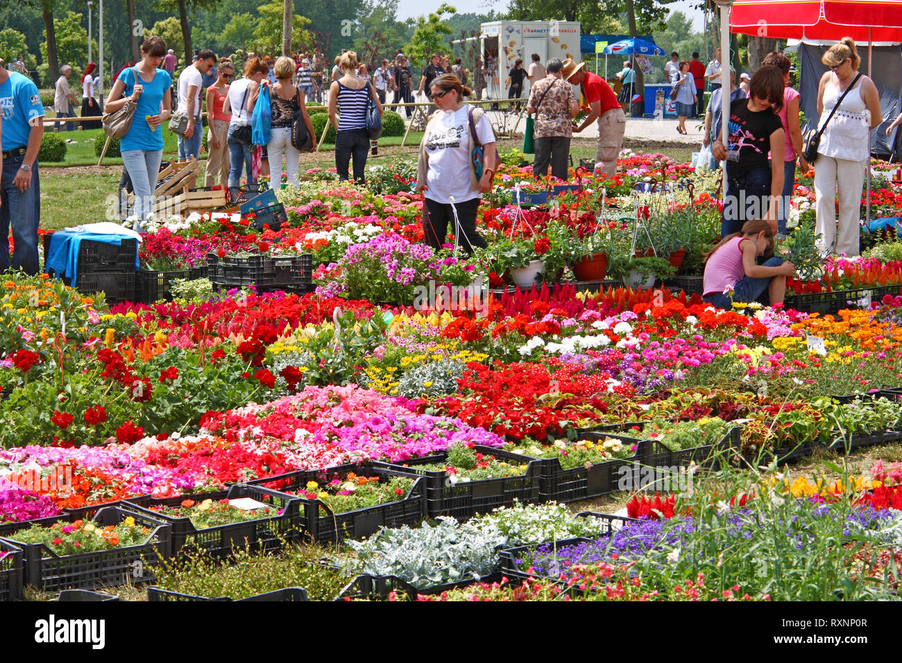 ZAGREB, CROATIA – JUNE 4, 2011: Exhibition sale of flowers, Floraart ...