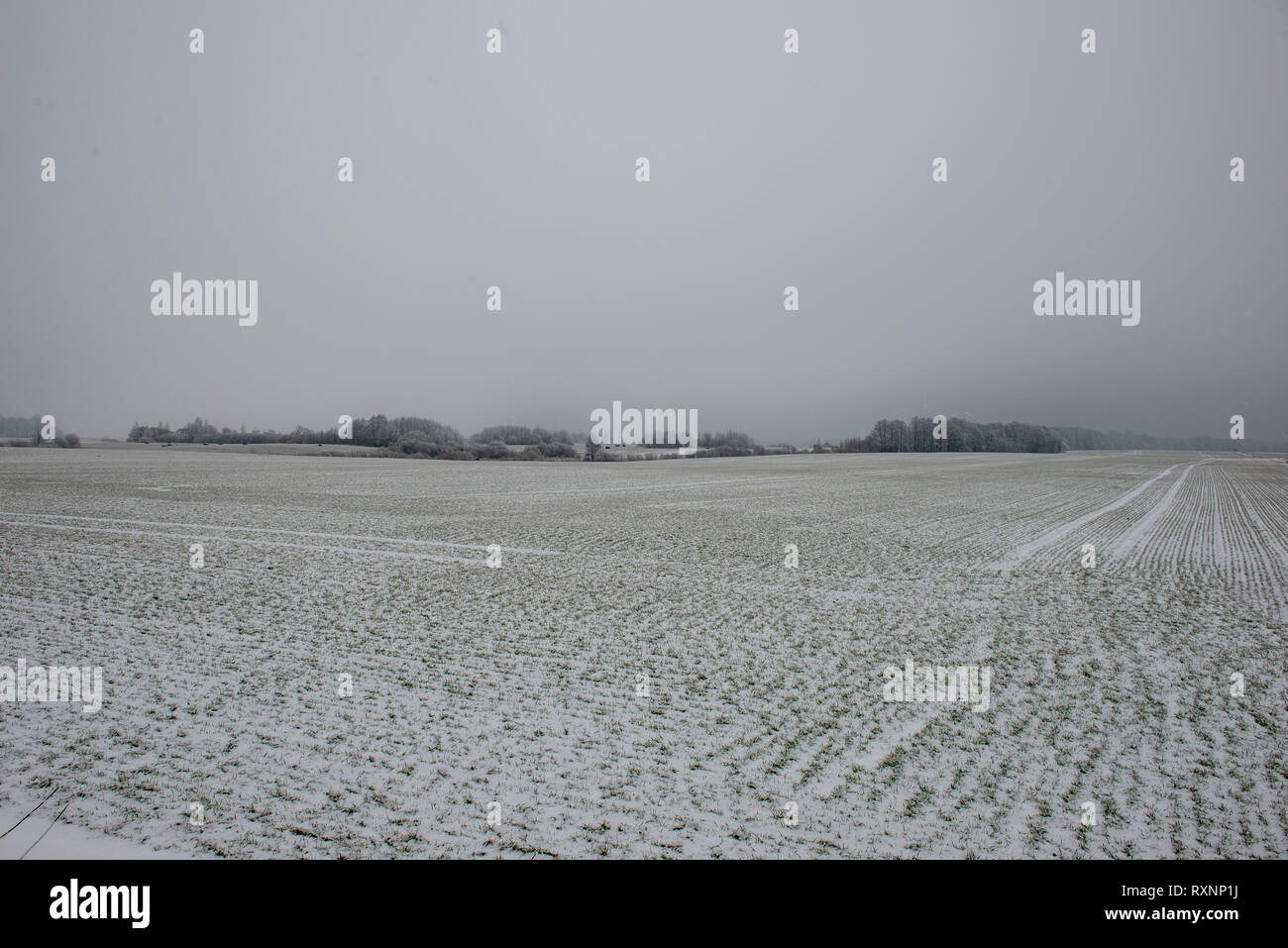 empty textured field in winter countryside under snow white sky Stock ...