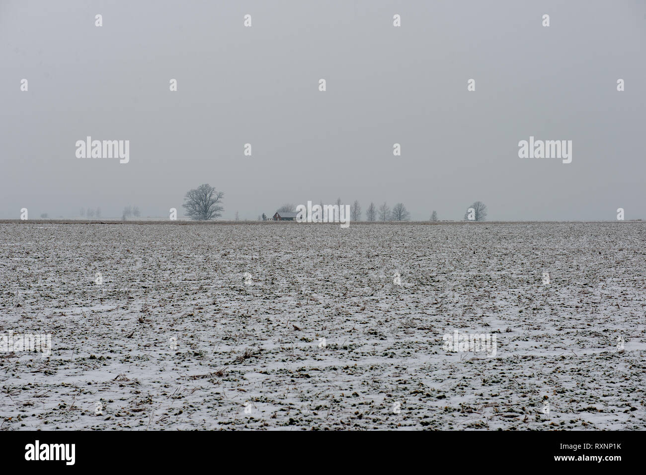 empty textured field in winter countryside under snow white sky Stock ...