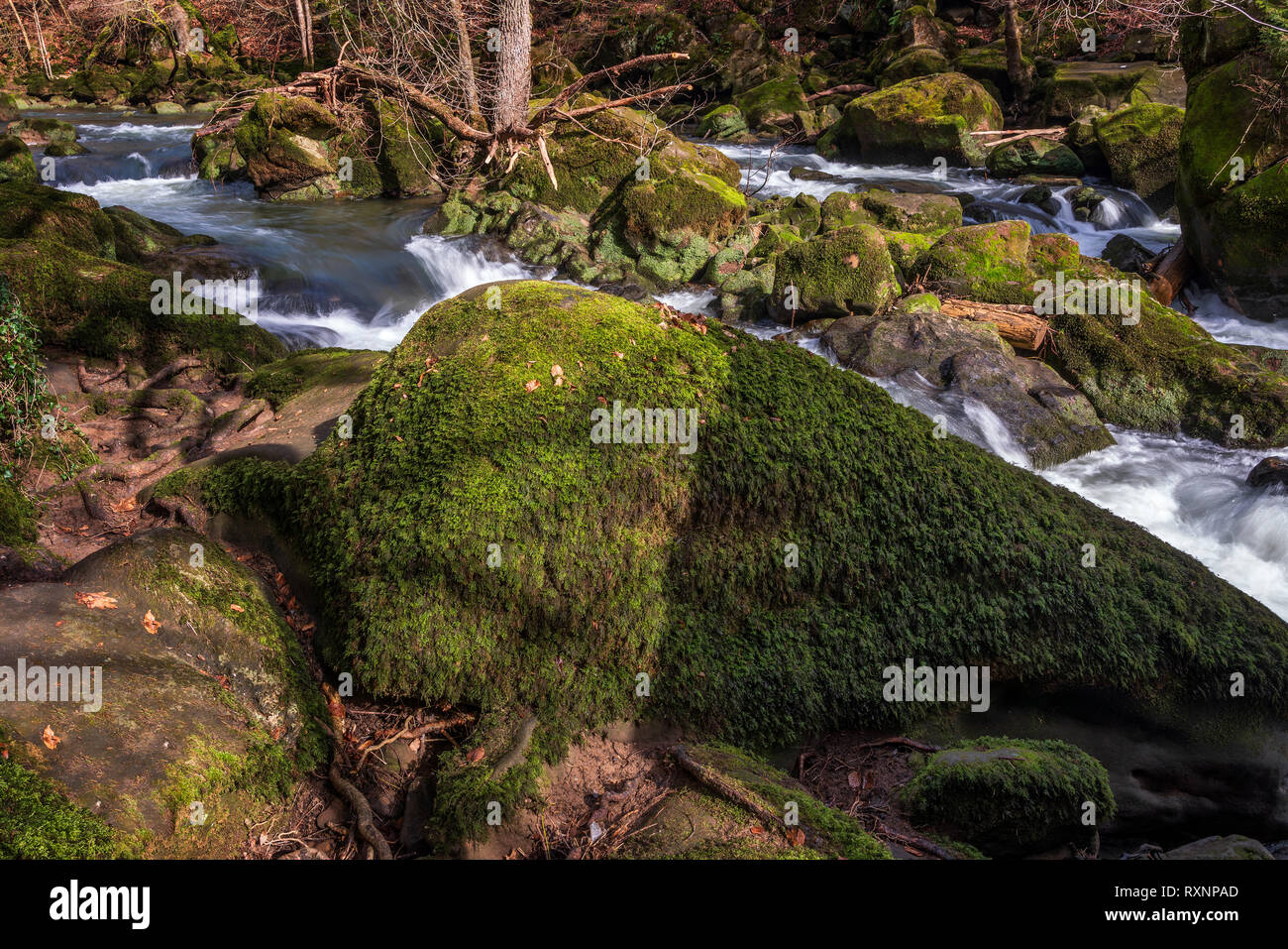 German-Luxembourg Nature Park, Irrel waterfalls Stock Photo - Alamy