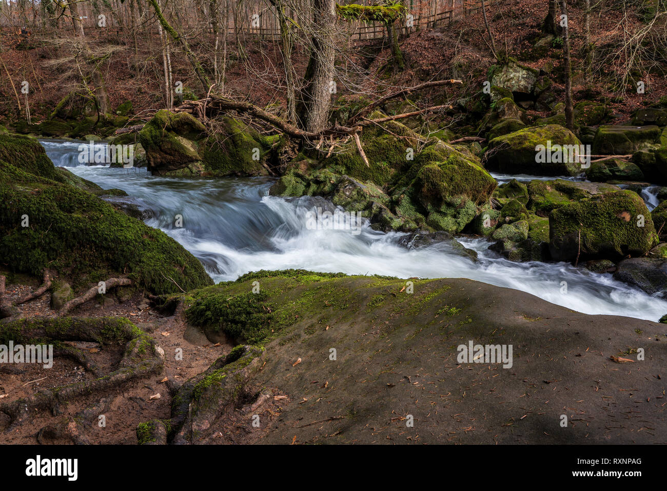 German-Luxembourg Nature Park, Irrel waterfalls Stock Photo - Alamy