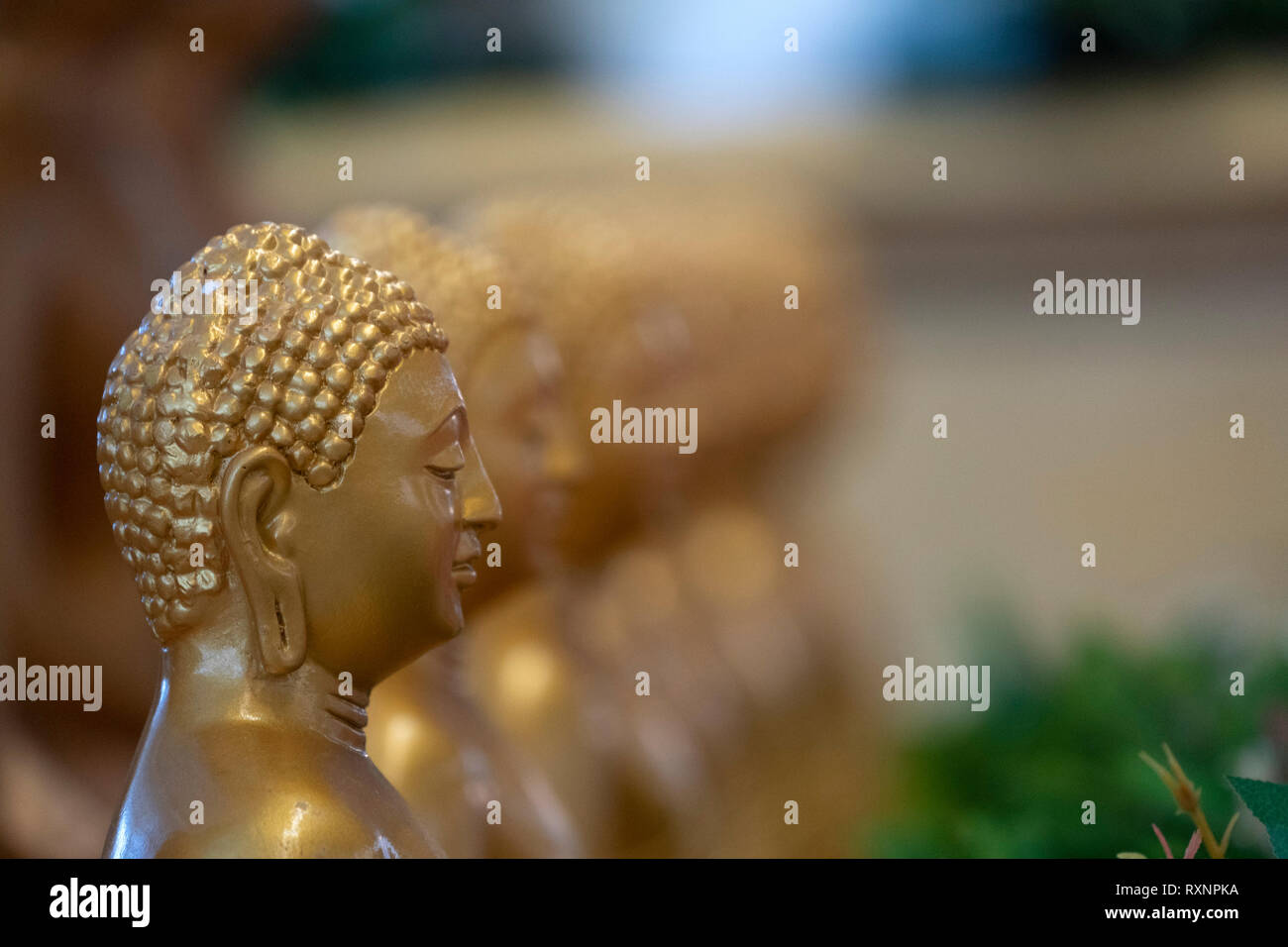 Japanese Buddah statue isolated close up detail Stock Photo - Alamy