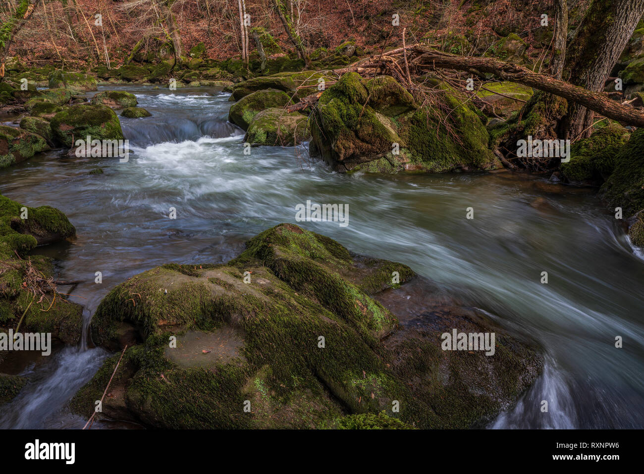 German-Luxembourg Nature Park, Irrel waterfalls Stock Photo - Alamy