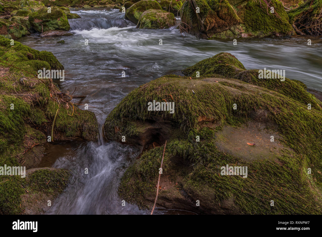 German-Luxembourg Nature Park, Irrel waterfalls Stock Photo - Alamy