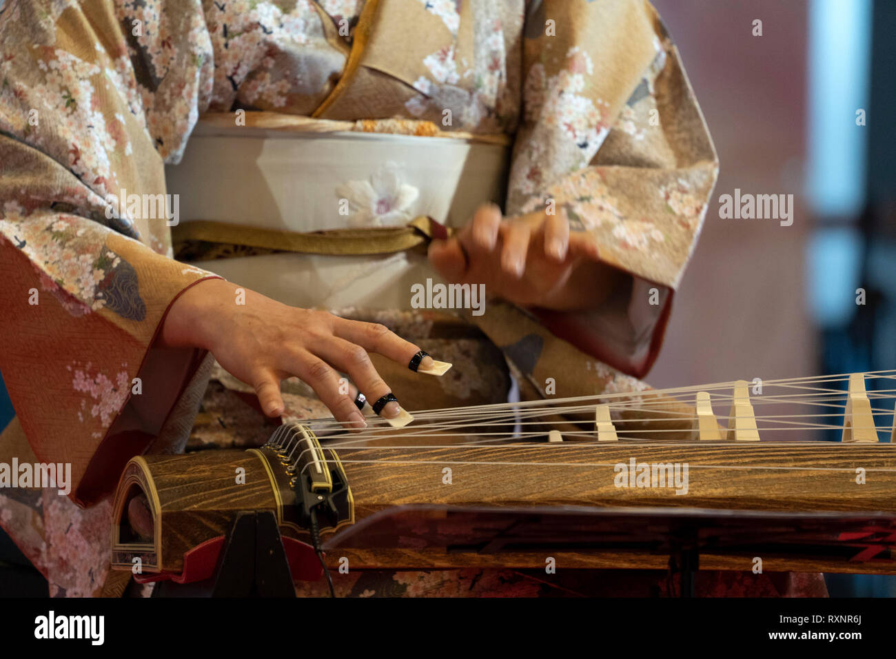 Women play koto japanese hi-res stock photography and images - Alamy