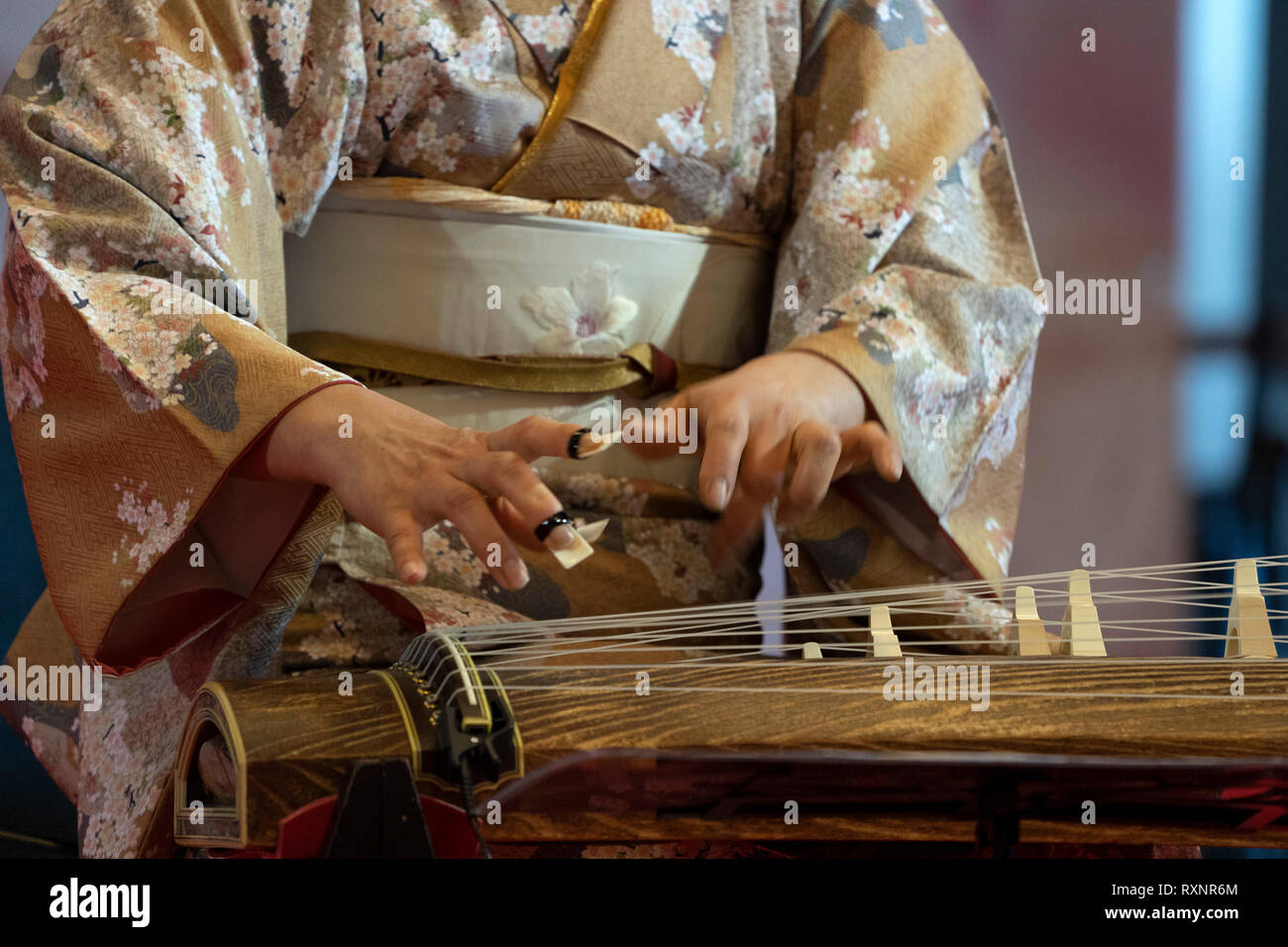 Koto japanese harp costume player Stock Photo - Alamy