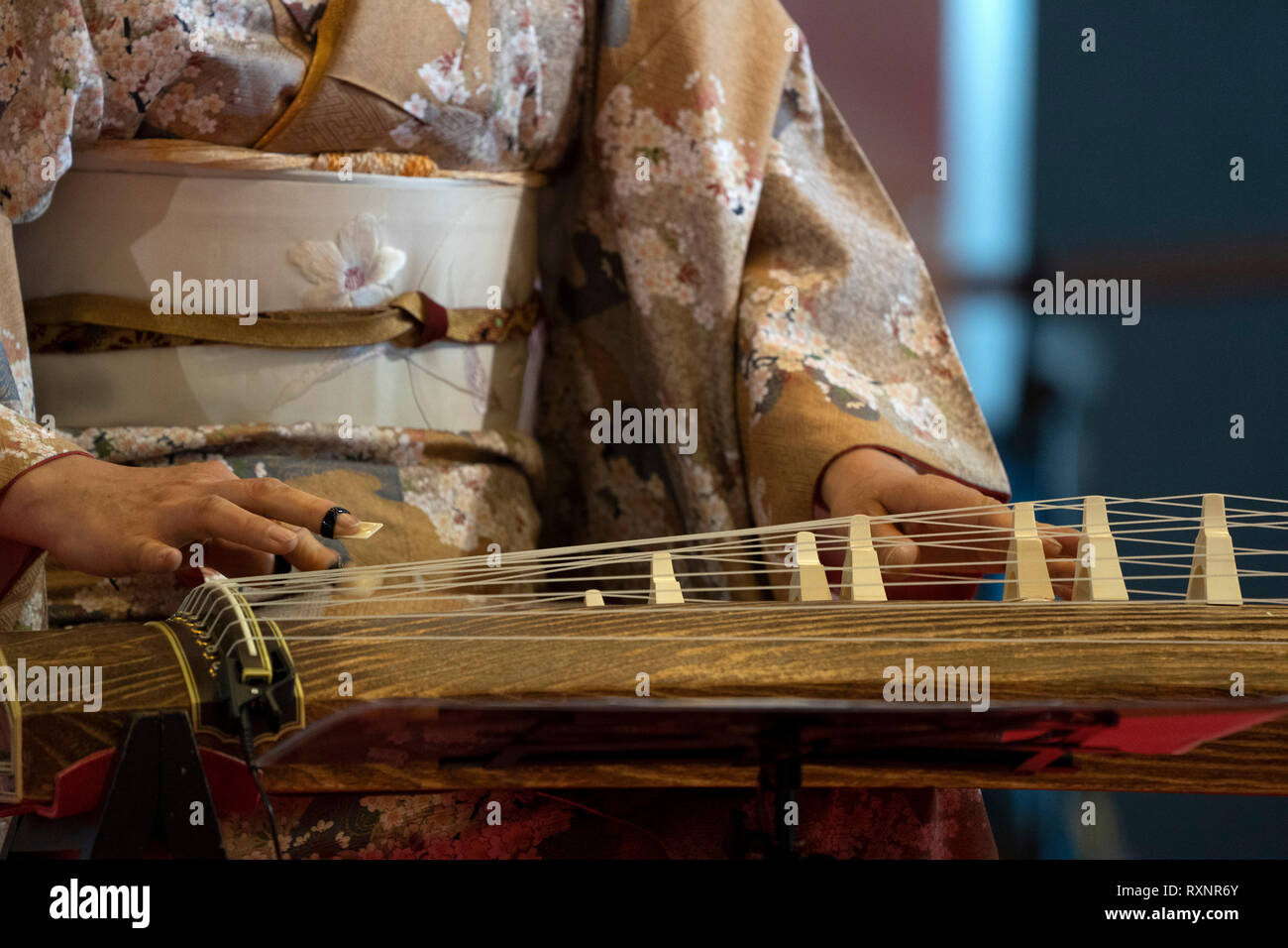 Women play koto japanese hi-res stock photography and images - Alamy