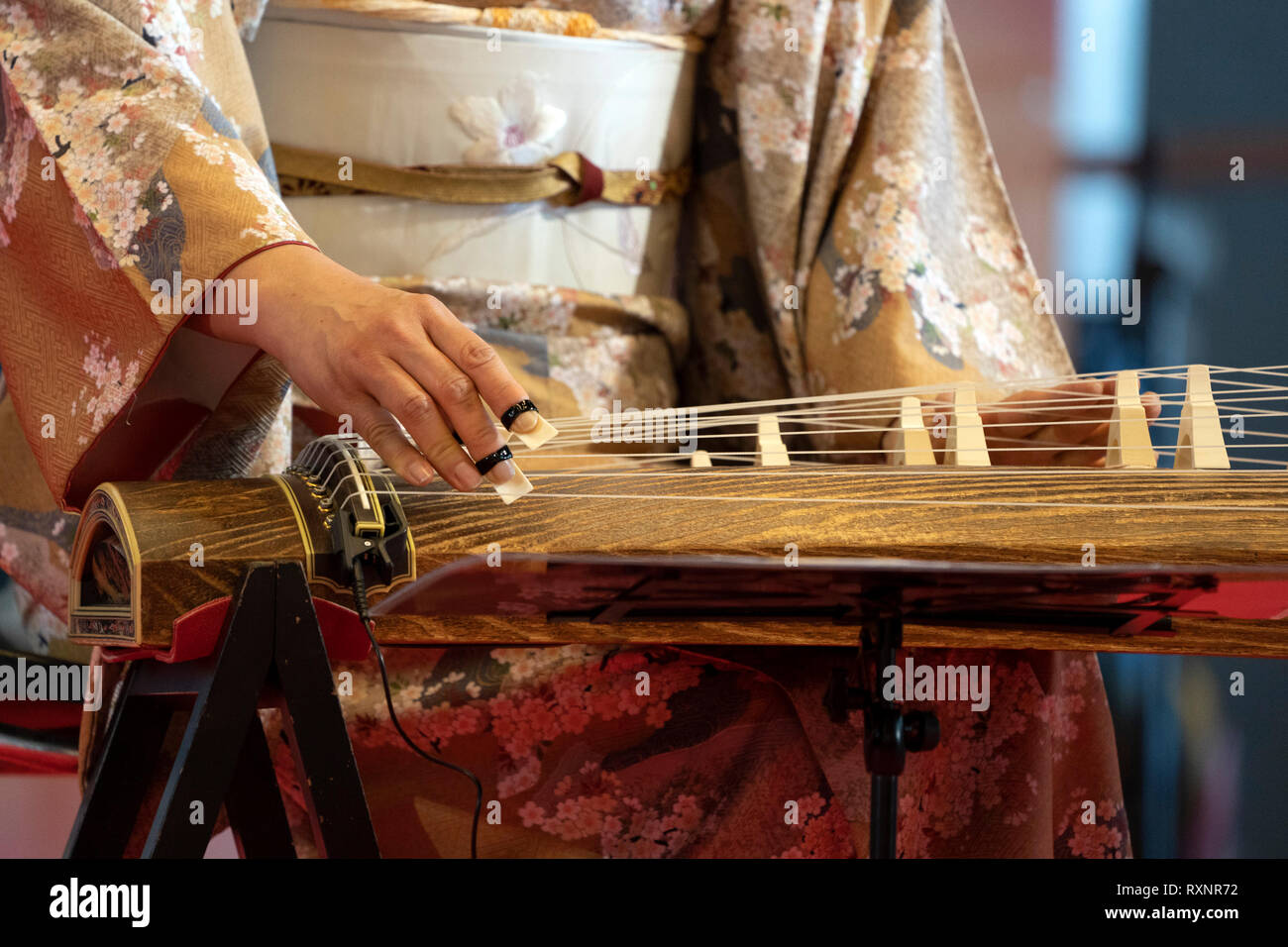 Women play koto japanese hi-res stock photography and images - Alamy