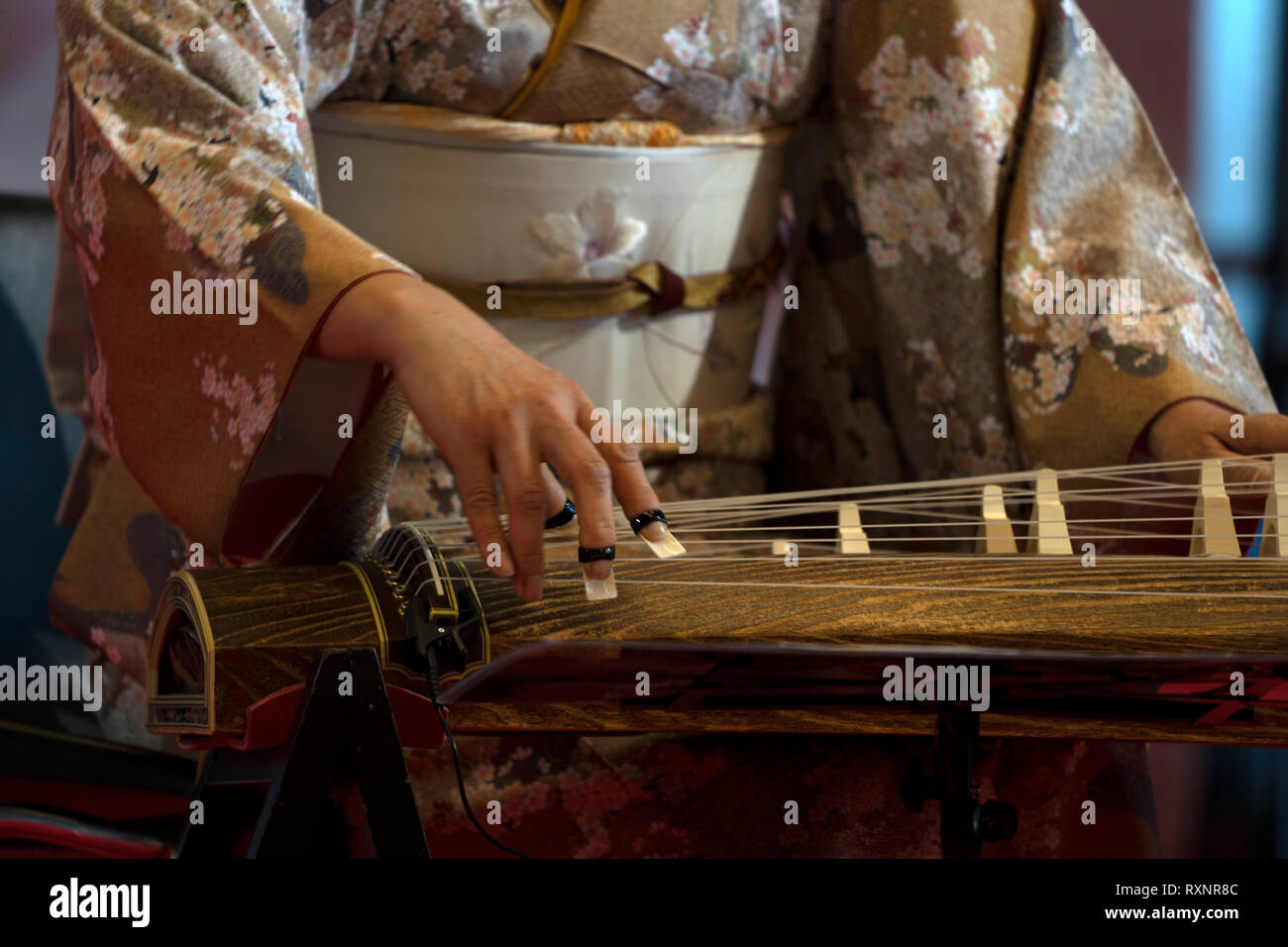 Women play koto japanese hi-res stock photography and images - Alamy