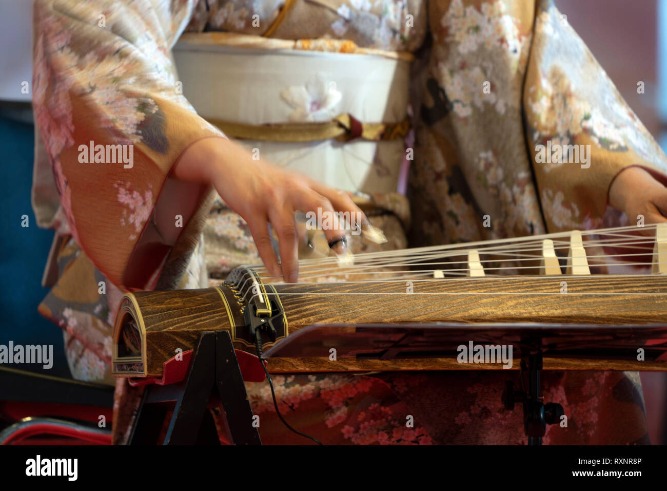 Women play koto japanese hi-res stock photography and images - Alamy