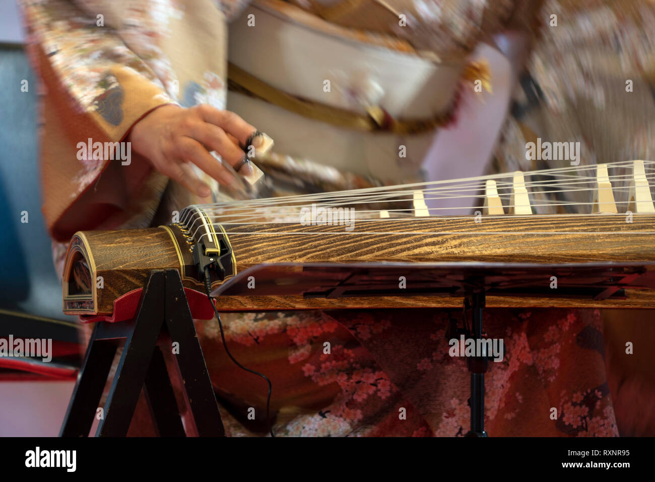 Koto player hi-res stock photography and images - Alamy