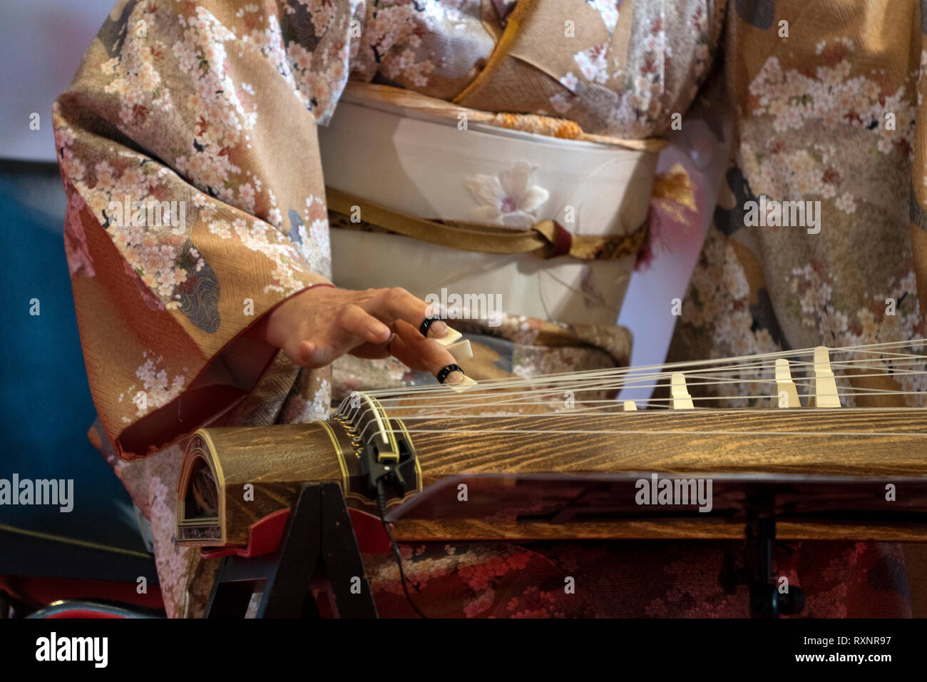 Women play koto japanese hi-res stock photography and images - Alamy