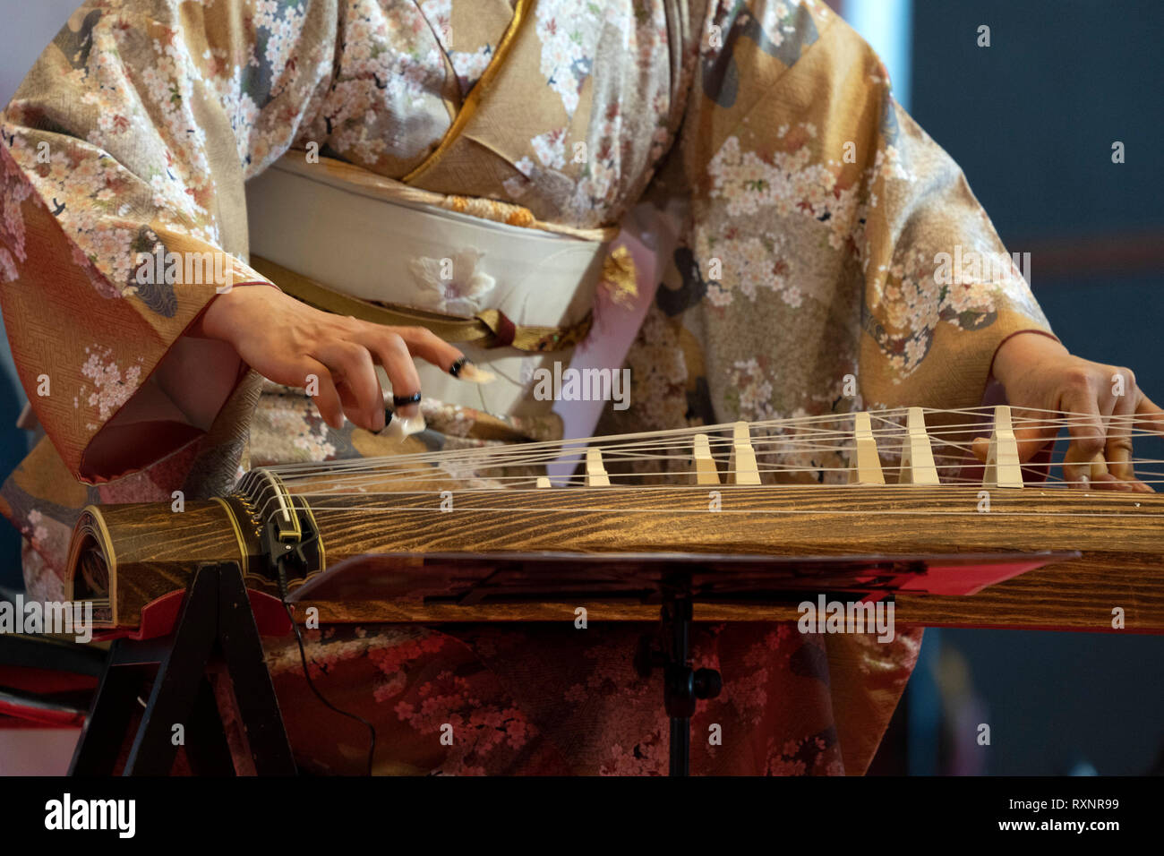 Women play koto japanese hi-res stock photography and images - Alamy