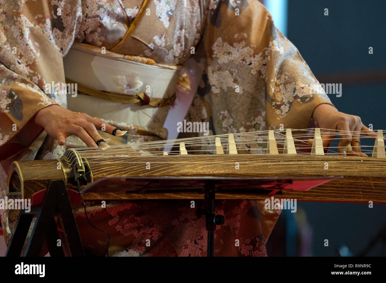 Women play koto japanese hi-res stock photography and images - Alamy