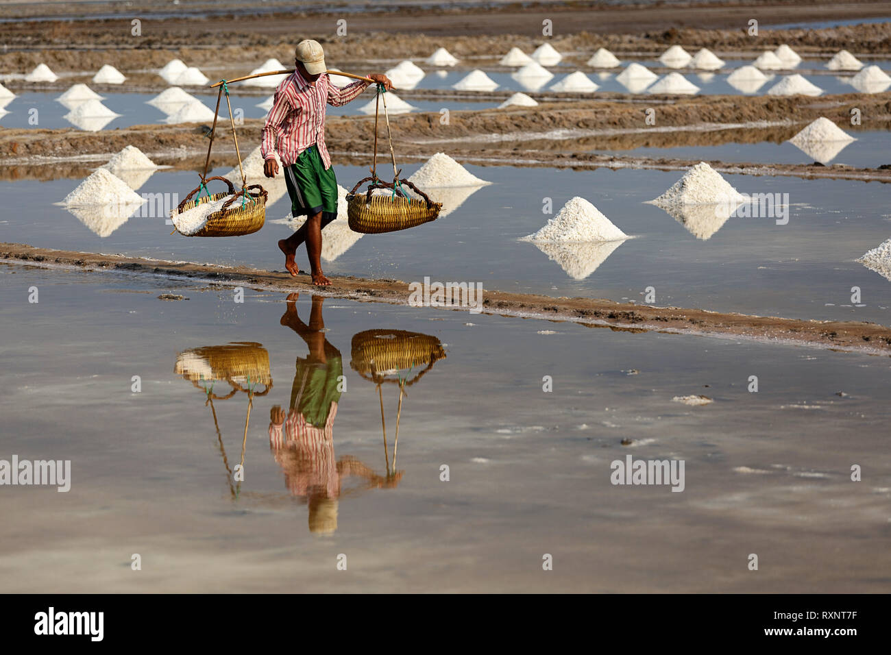 Cambodia, Kampot province, Kampot, salt harvest, man carries freshly ...