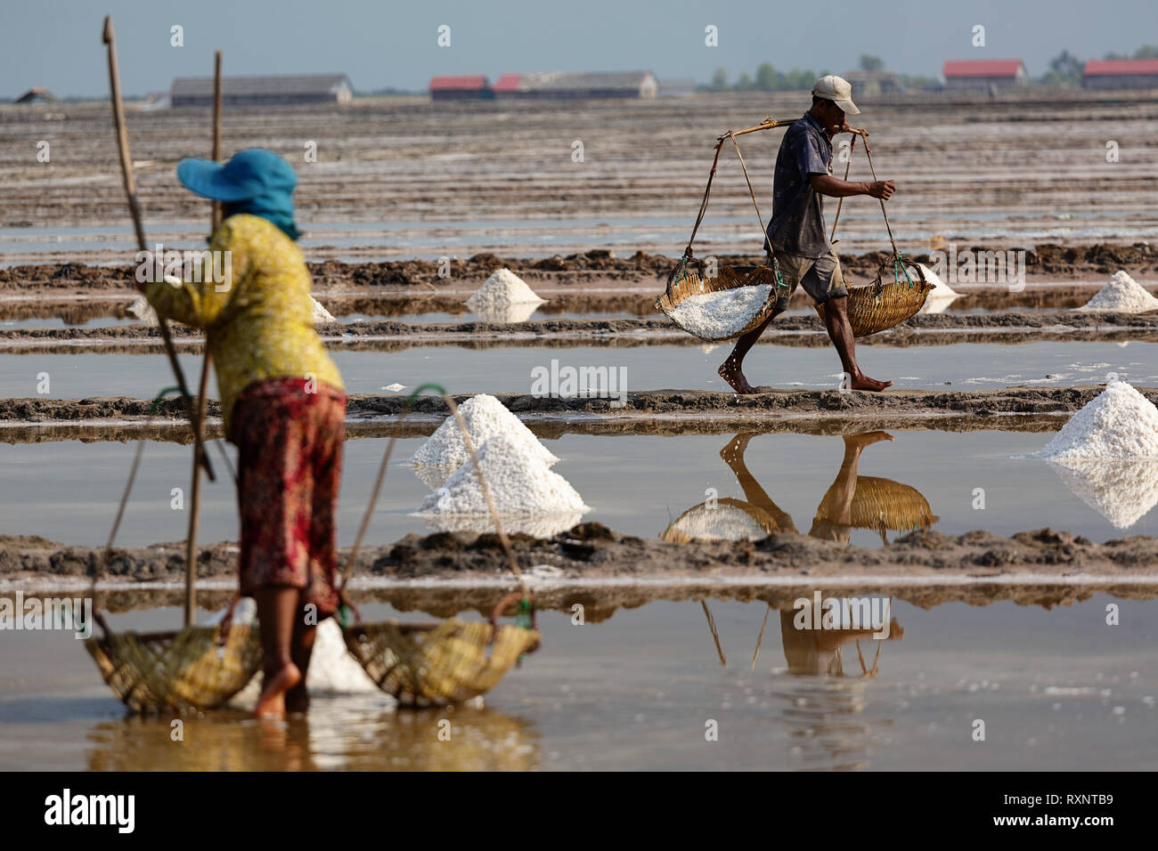 Cambodia, Kampot province, Kampot, salt harvest, men and woman picking ...