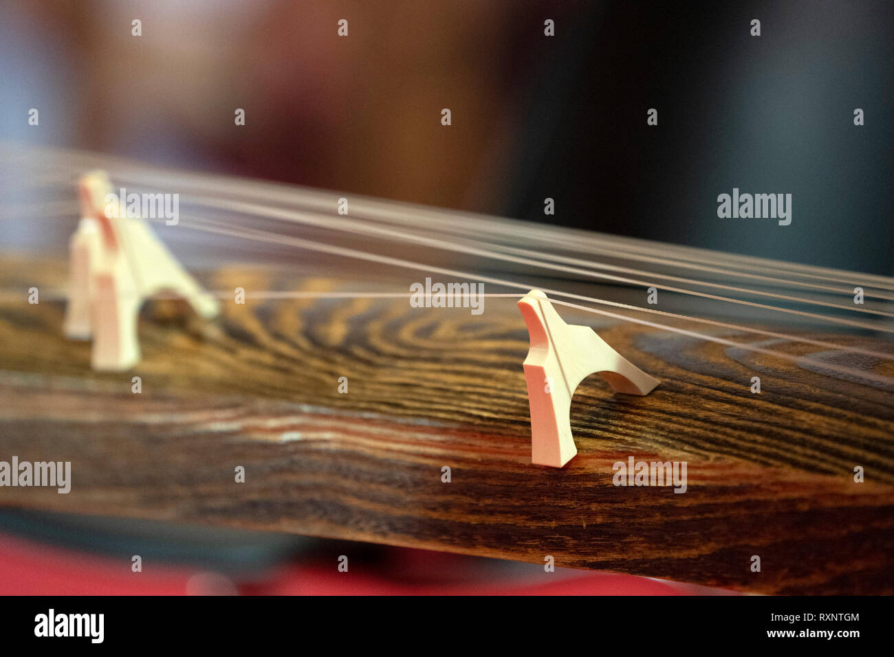 Koto japanese harp costume player Stock Photo - Alamy