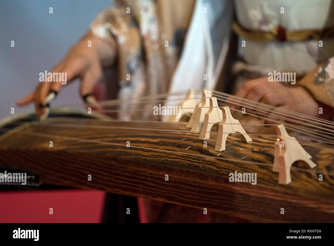 Koto Player High Resolution Stock Photography and Images - Alamy