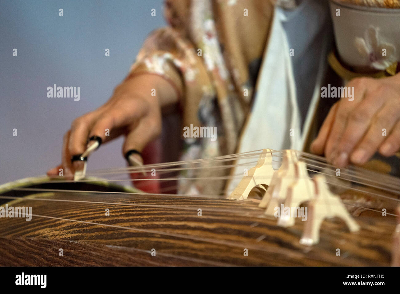 Koto japanese harp costume player Stock Photo - Alamy