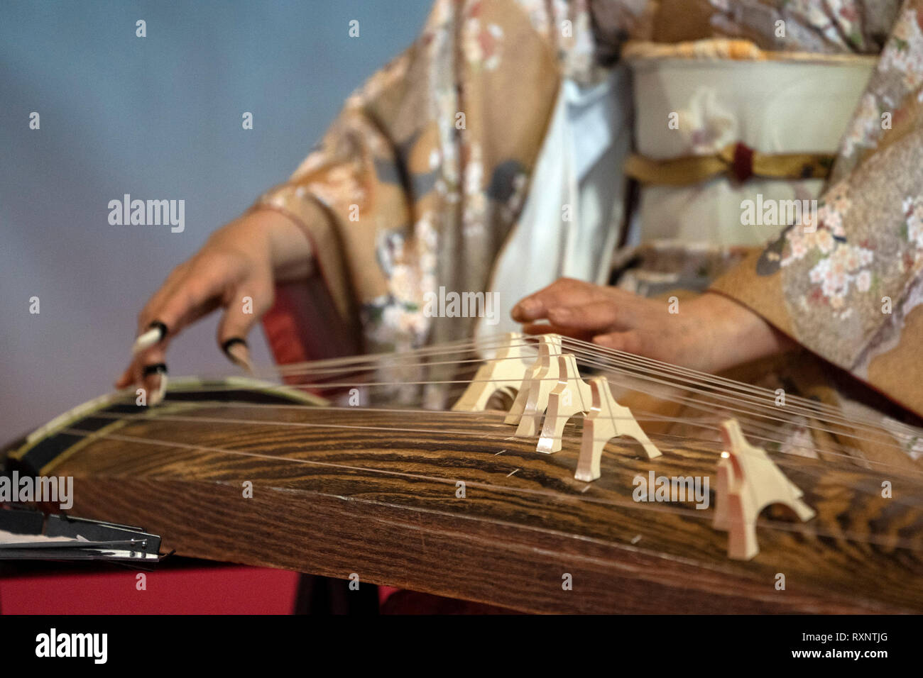 Women play koto japanese hi-res stock photography and images - Alamy