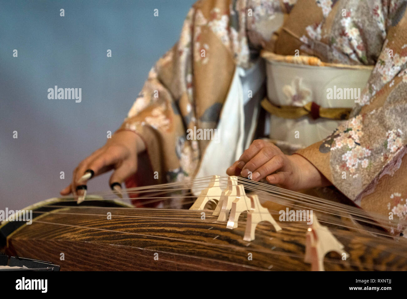 Women play koto japanese hi-res stock photography and images - Alamy