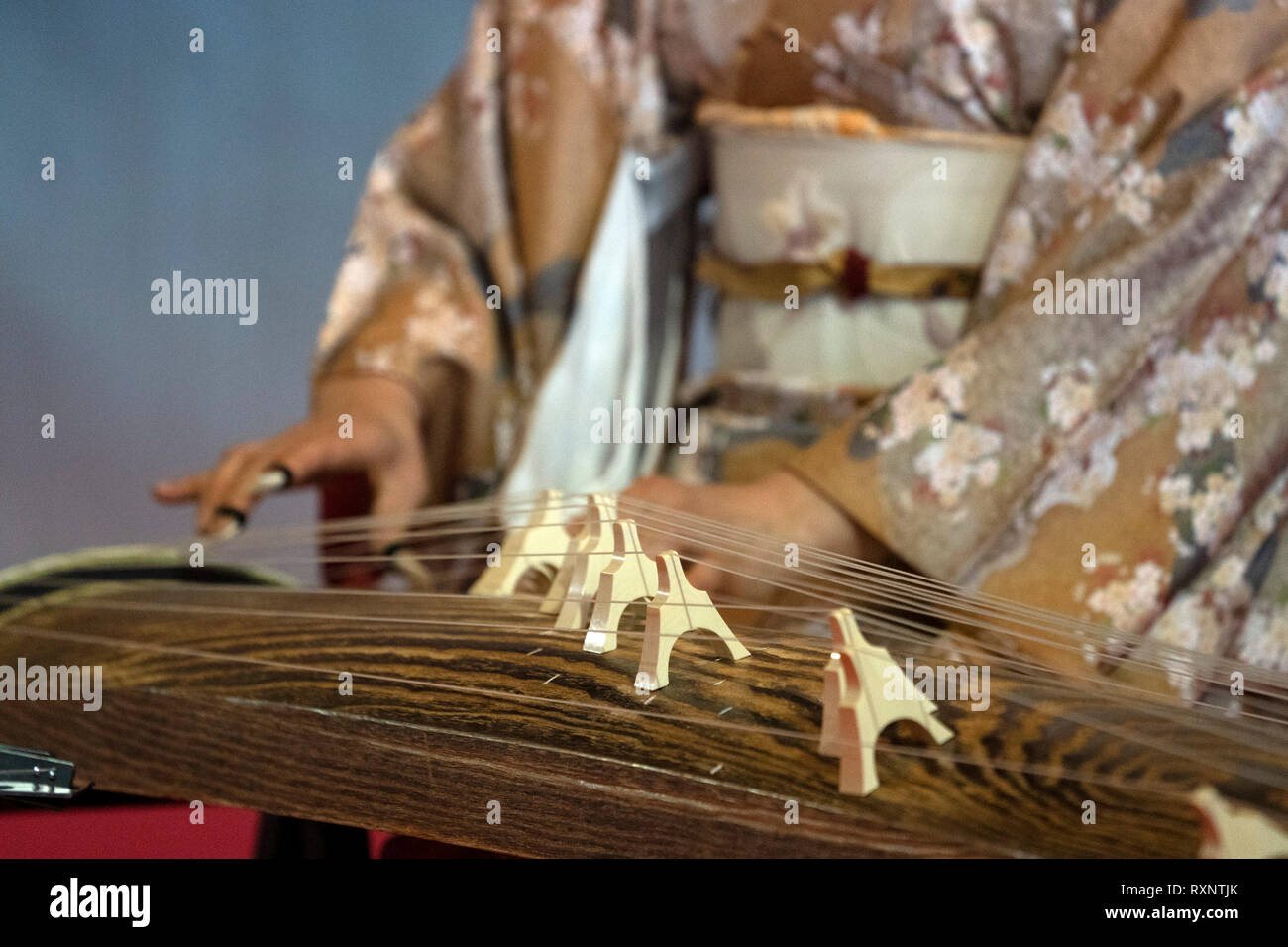 Women play koto japanese hi-res stock photography and images - Alamy
