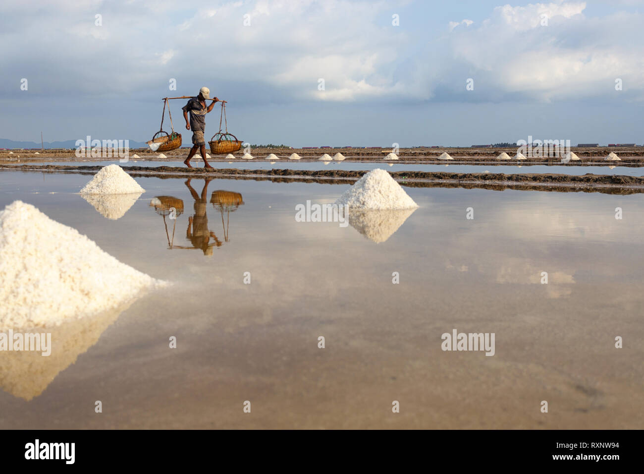 Cambodia, Kampot province, Kampot, salt harvest, man carries freshly ...