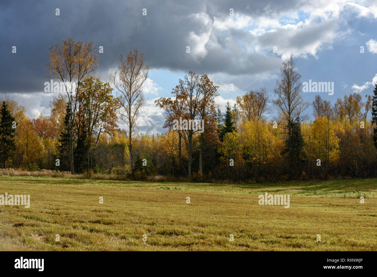 empty countryside fields in late autumn, overcast day Stock Photo - Alamy