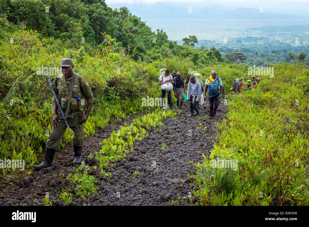 Virunga park hi-res stock photography and images - Alamy