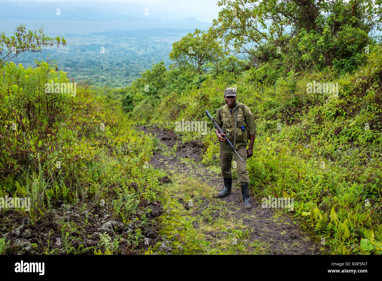 Virunga congo gun hi-res stock photography and images - Alamy