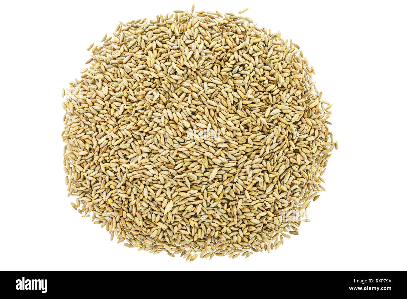 Round Handful of Wheat Grain Isolated on White. Grain Cereal Background ...