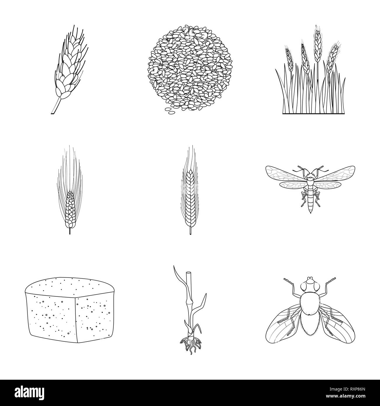 All bran loaf Black and White Stock Photos & Images - Alamy