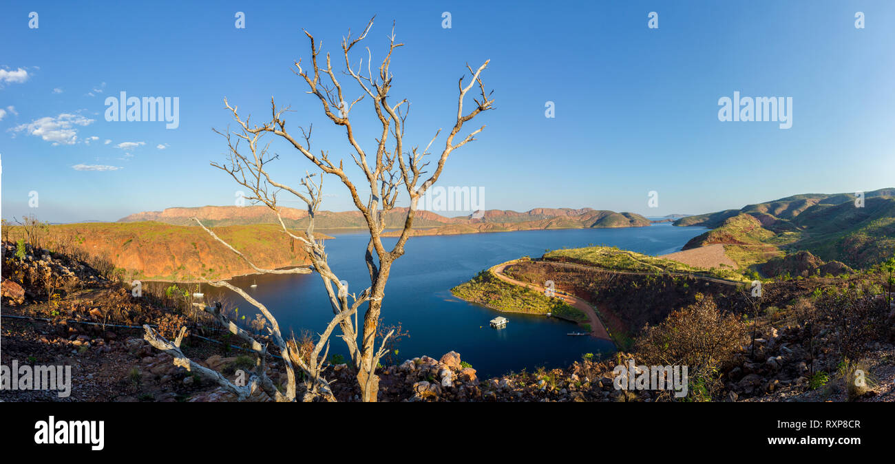 dead tree in front of Lake Argyle is Western Australia's largest man ...