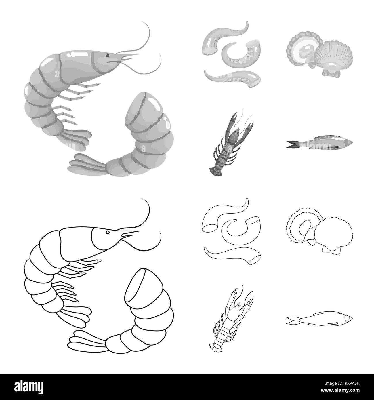shrimp,octopus,jellyfish,lobster,salmon,prawn,squid,fish,cooked,cute ...