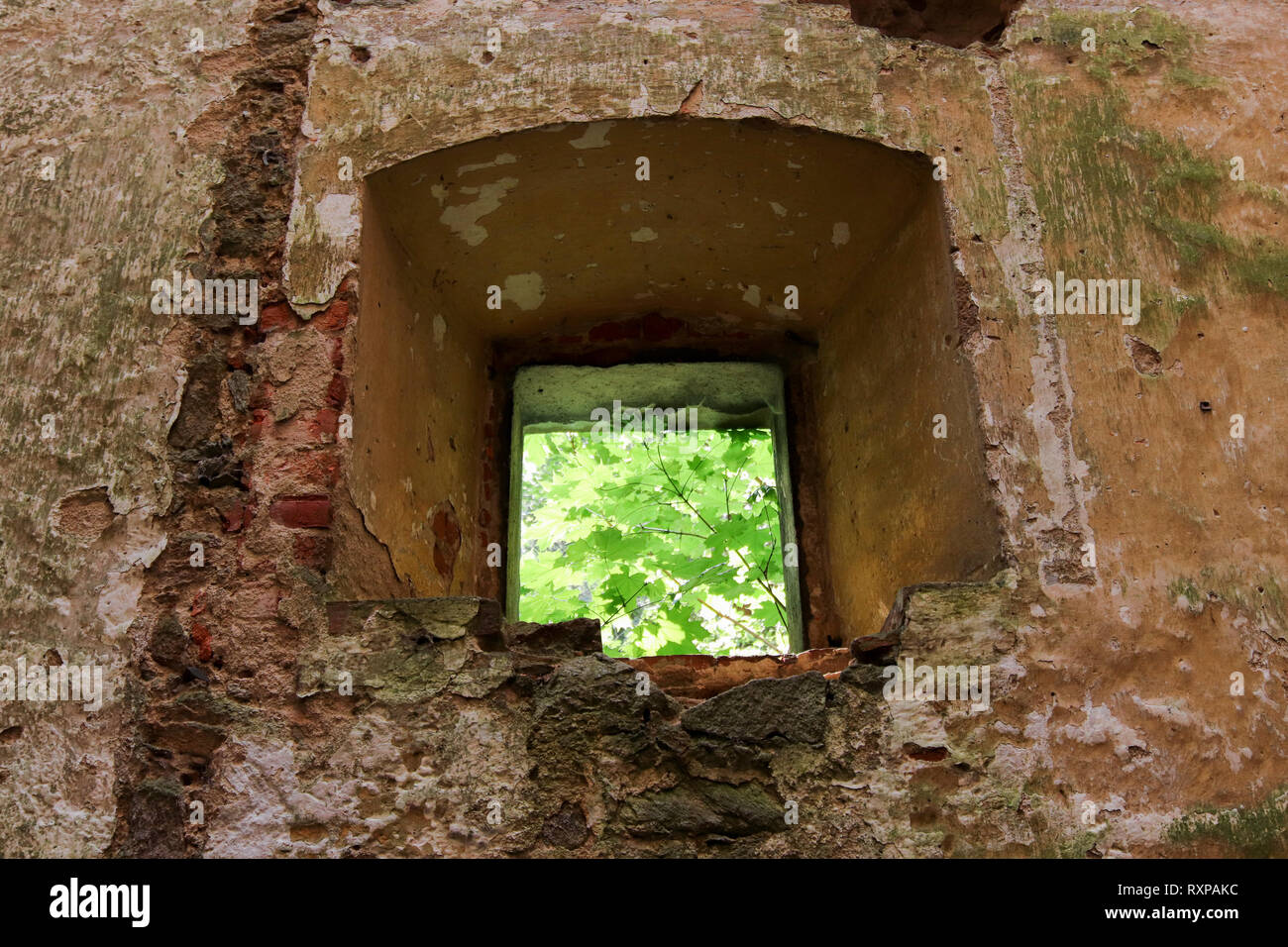 Detail od the window in the ruins Stock Photo - Alamy