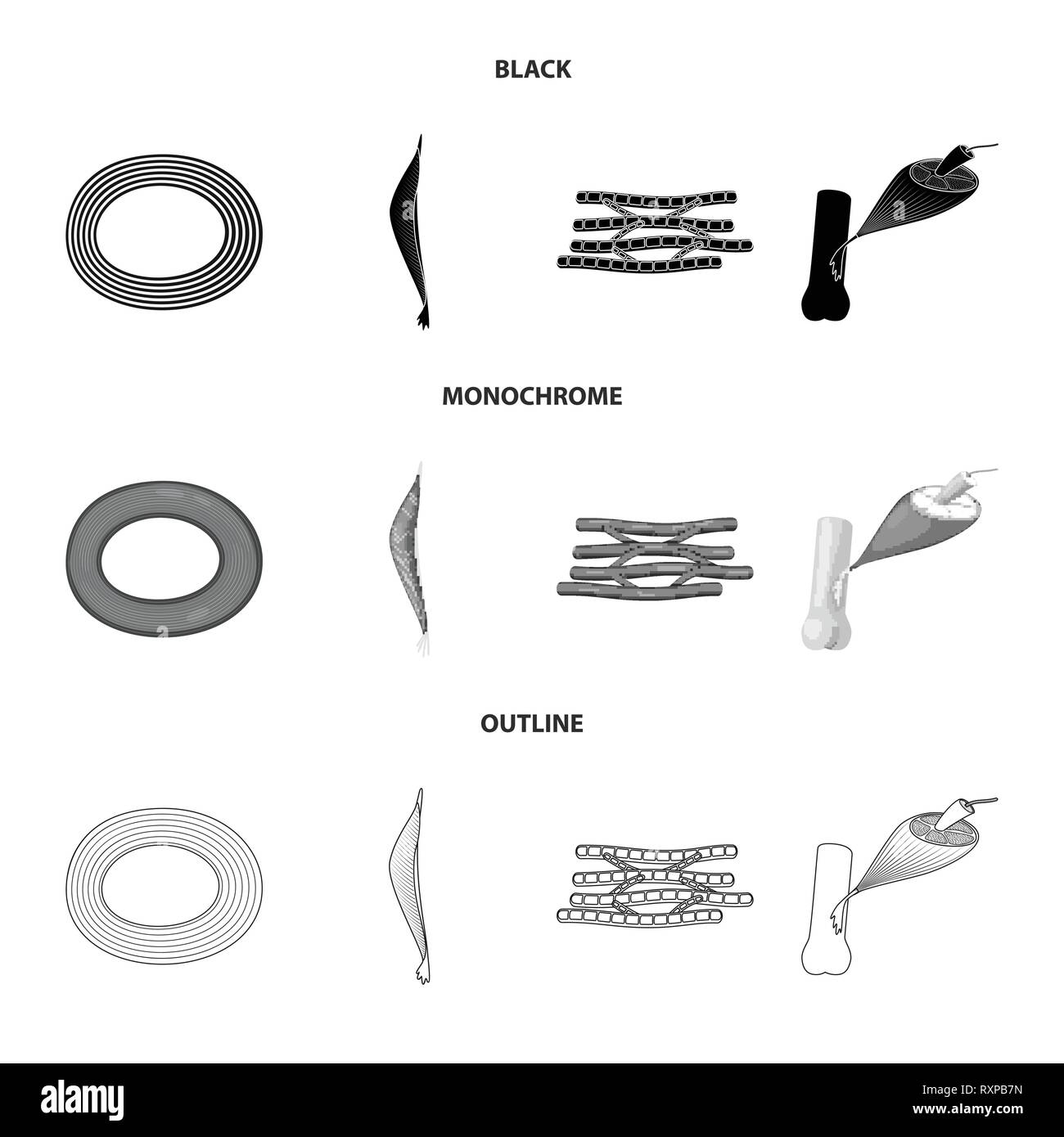 Vector illustration of fiber and muscular icon. Set of fiber and body ...
