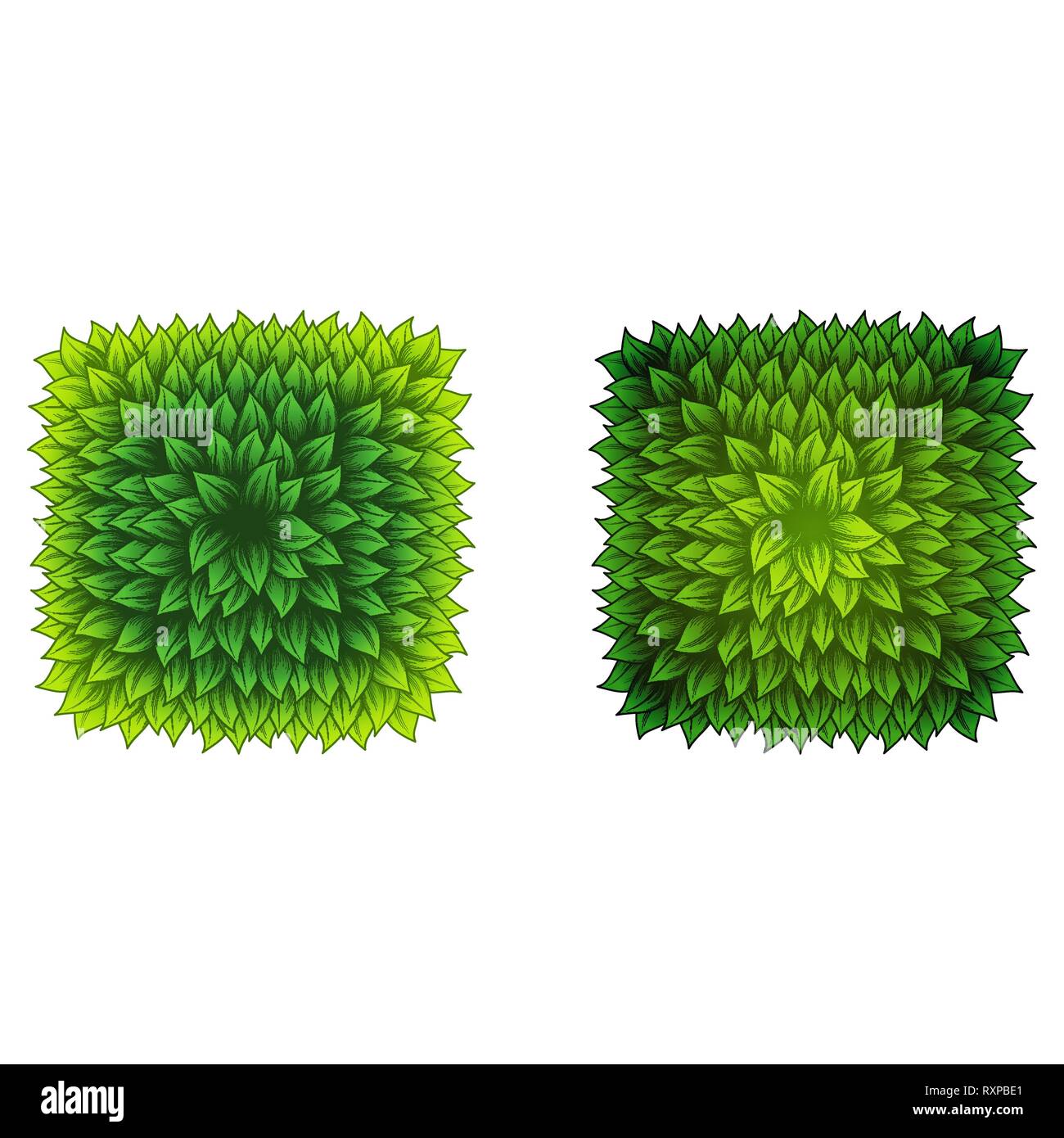 Set of two full square leaves frames isolated on white background Stock ...