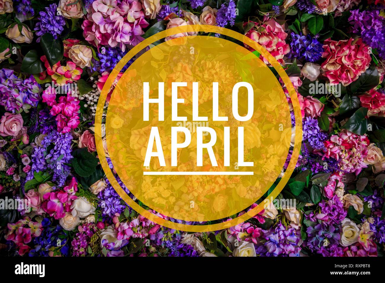 Banner hello april. Hi spring. Hello April. Welcome card We are waiting ...