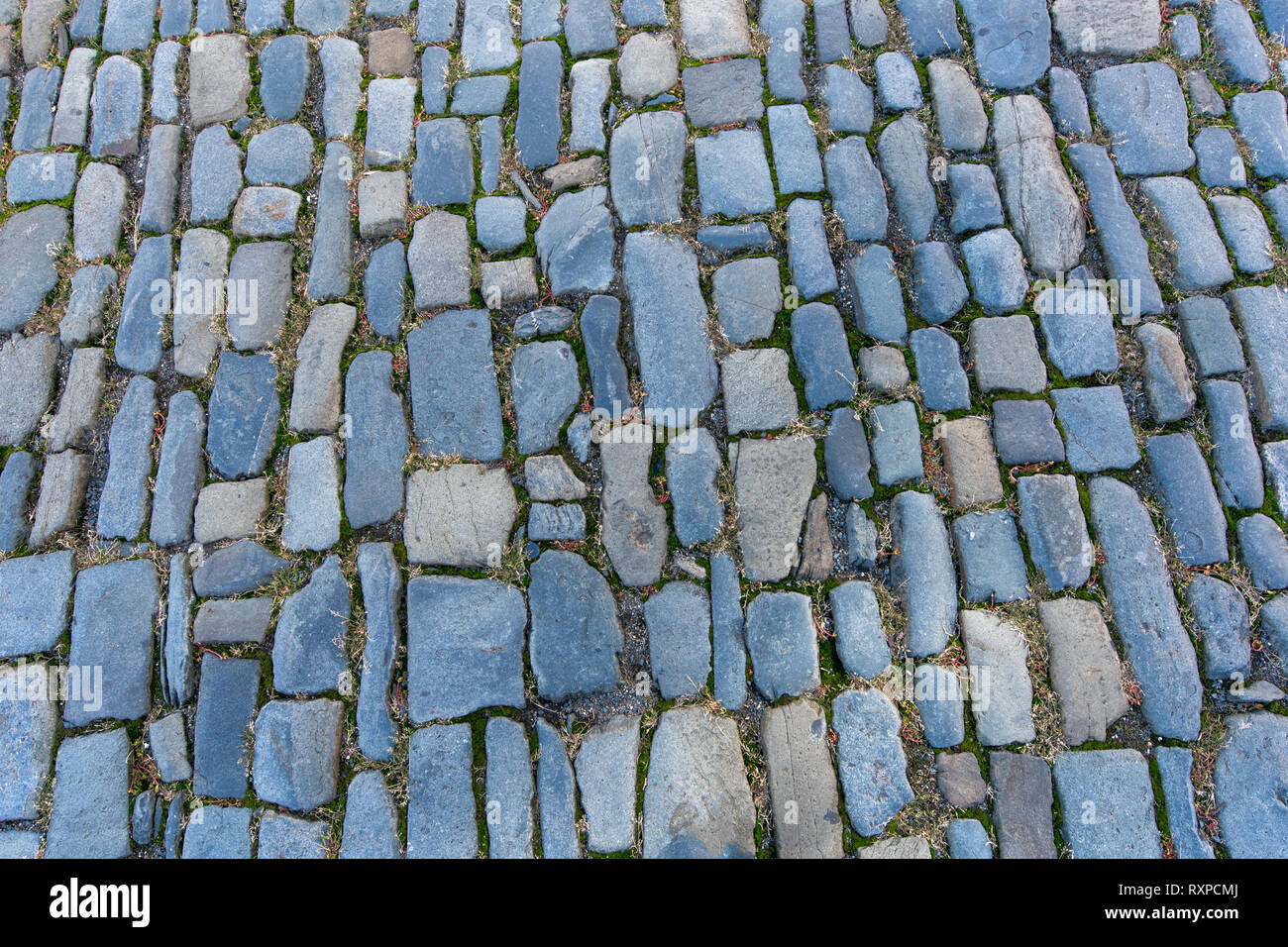Cobblestone Road