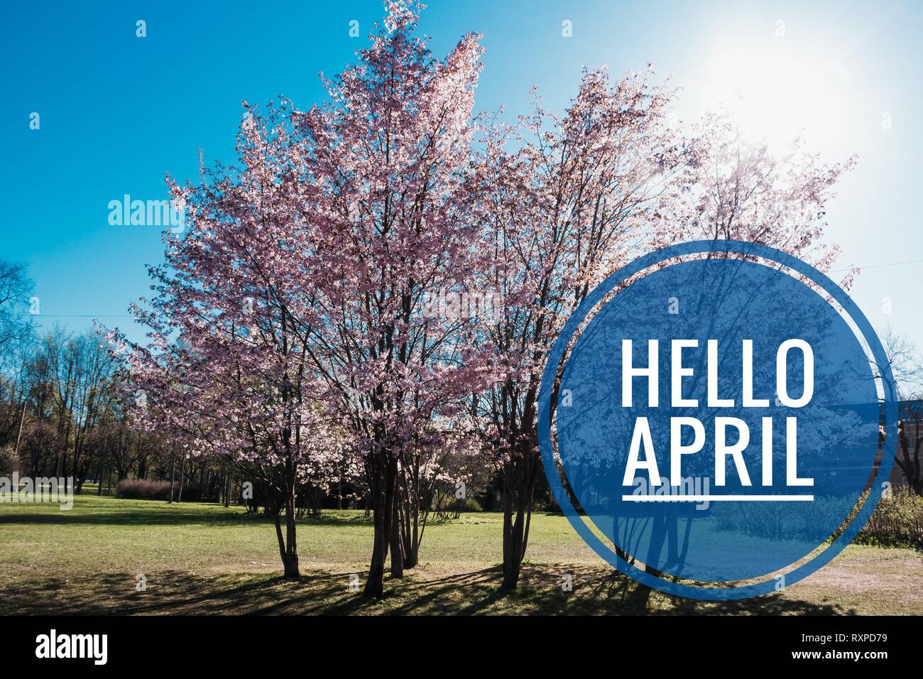 Banner hello april. Hi spring. Hello April. Welcome card We are waiting ...