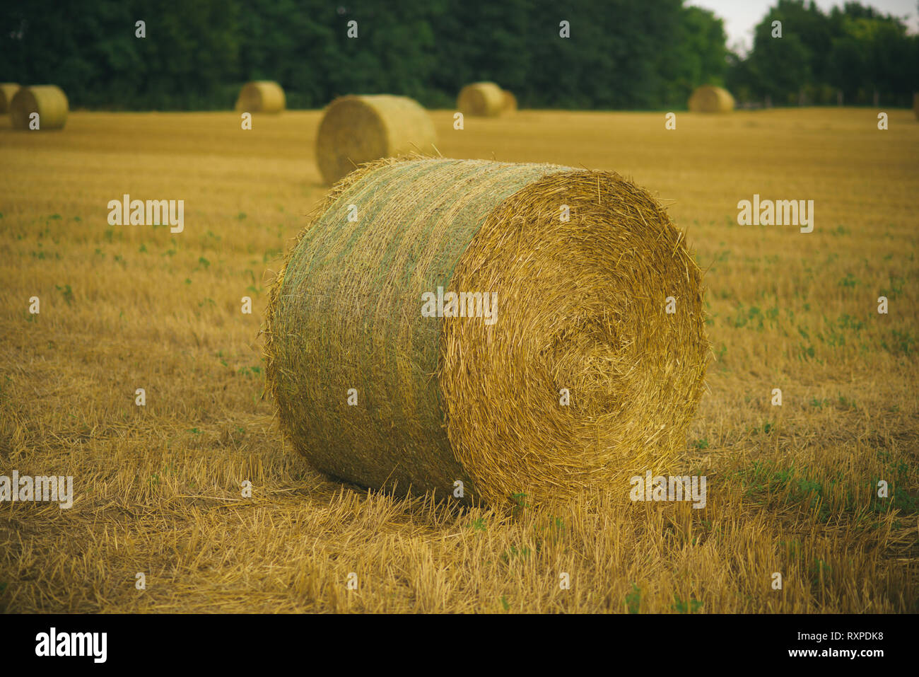Haylage bale hi-res stock photography and images - Alamy
